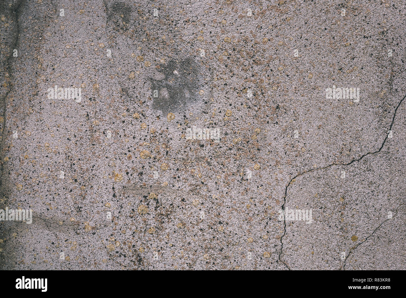 abstract texture sand pattern near water body with some plants ...