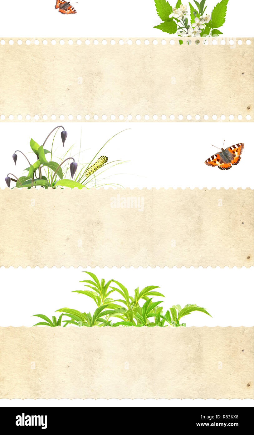 Collection of nature banners. Isolated on white background Stock Photo ...