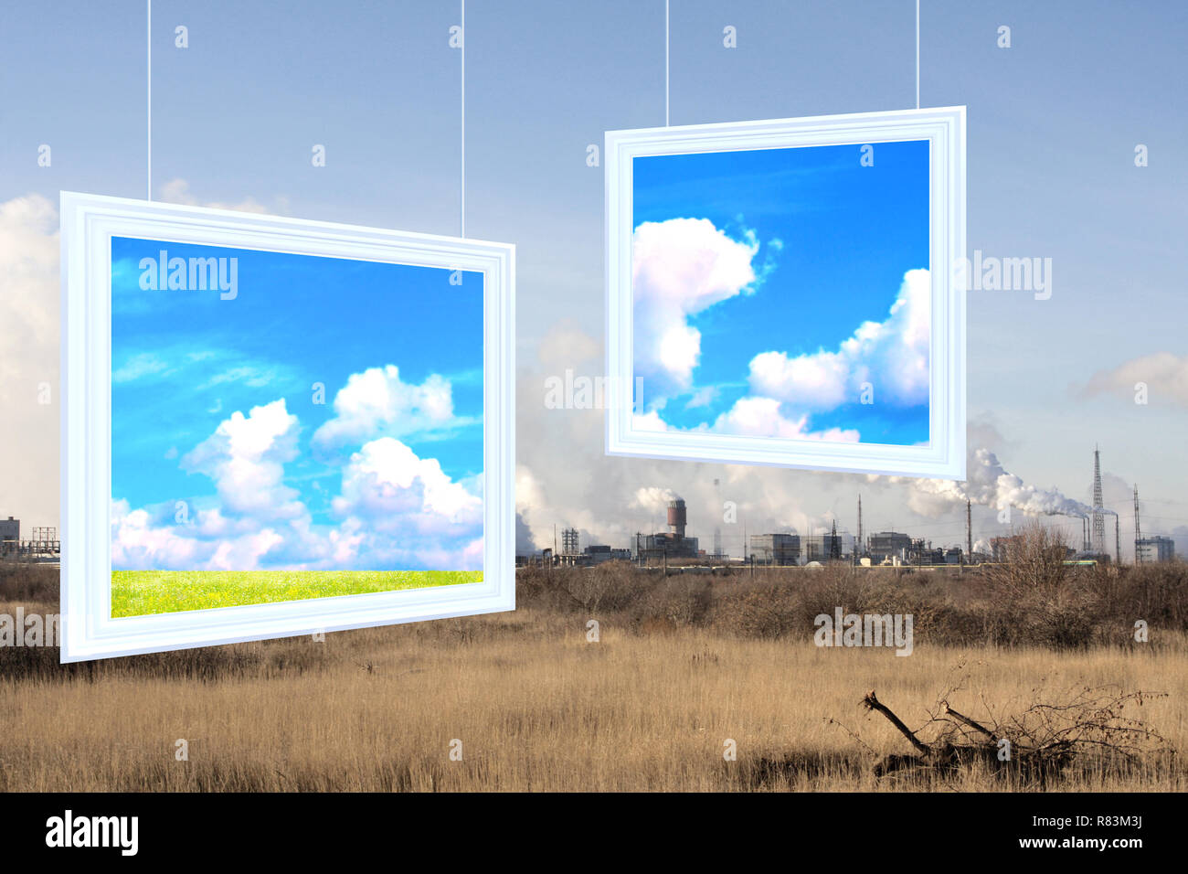 Ecology concept - death and life Stock Photo - Alamy