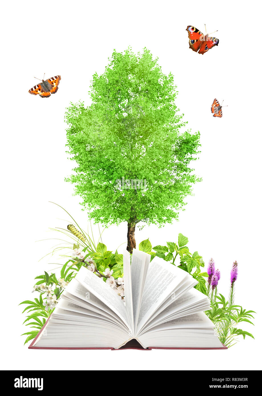 Book of nature. Isolated on white background Stock Photo - Alamy