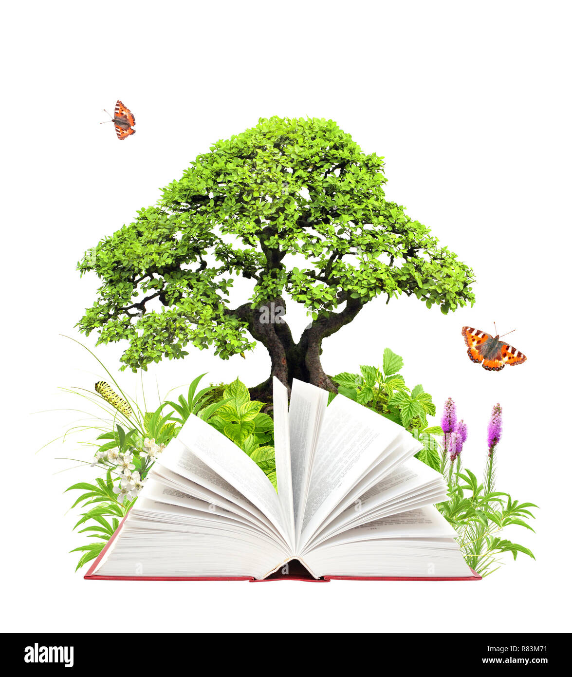 Book of nature. Isolated on white background Stock Photo - Alamy