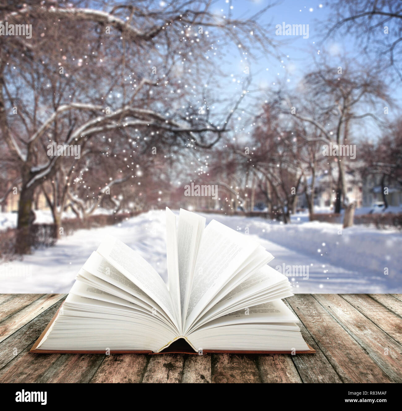 Book of nature on winter background Stock Photo - Alamy