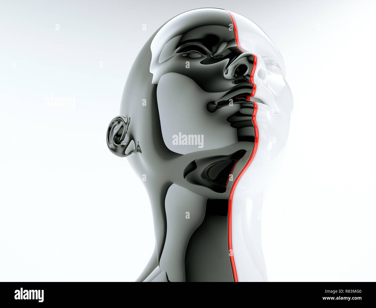Black and white human head separated by red line as symbol of balance ...