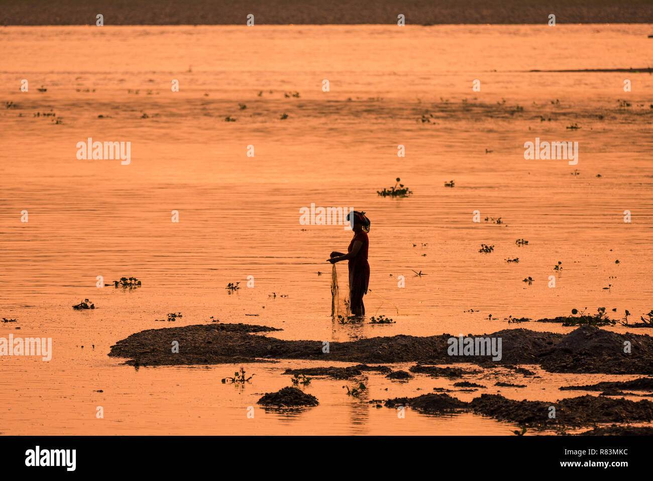 Asian Woman fishing in the river. silhouette at sunset. Village life in ...