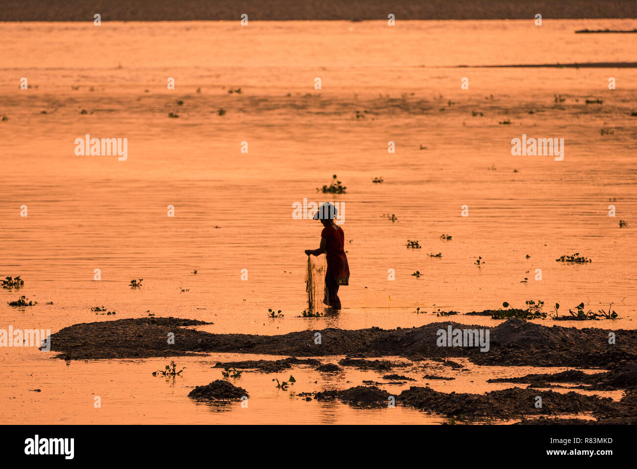 Asian Woman fishing in the river. silhouette at sunset. Village life in ...