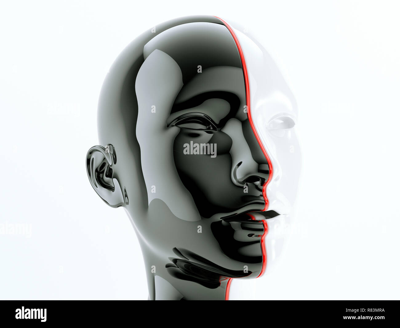 Black and white human head separated by red line as symbol of balance ...