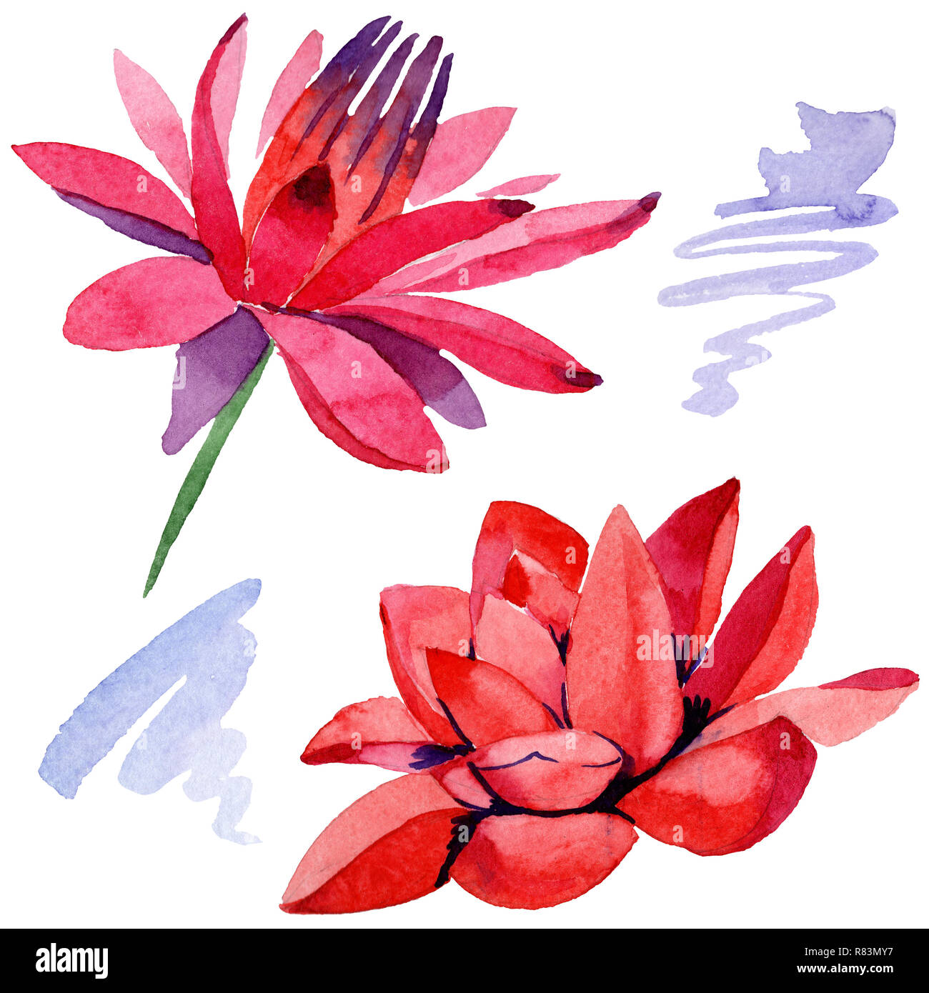 Red Lotus Painting
