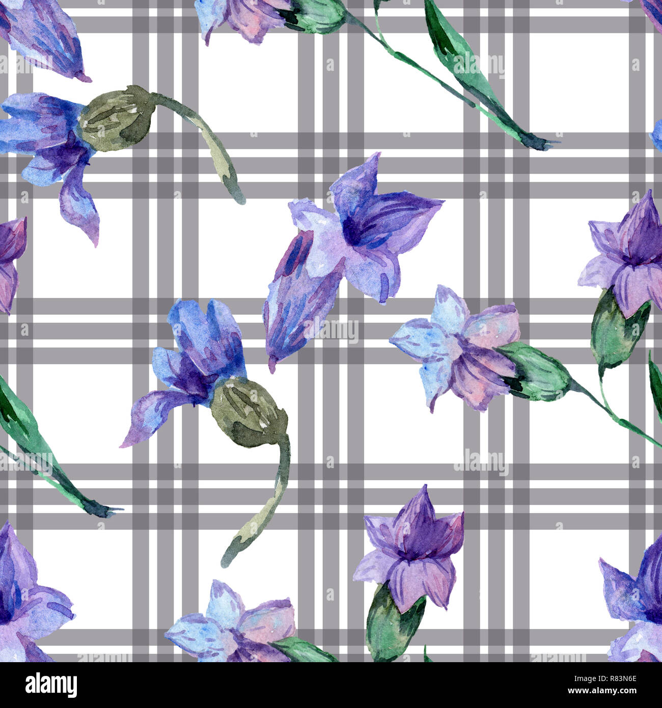 Purple lavender. Floral botanical flower. Seamless background pattern ...