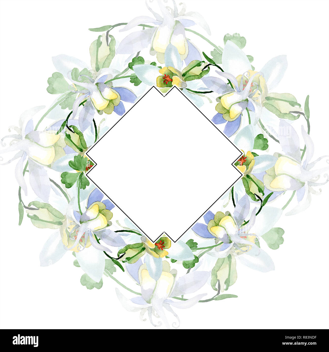 White aquilegia. Floral botanical flower. Frame border ornament square ...