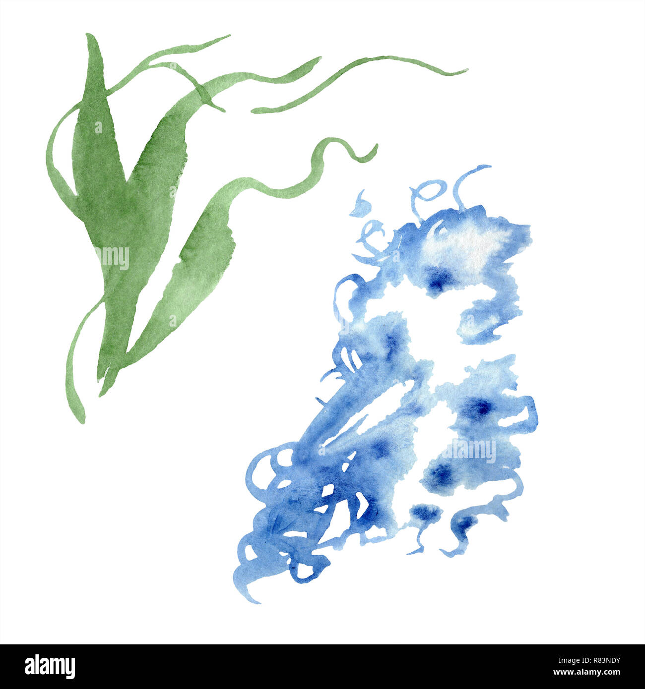 Abstract green and blue aquarelle splash for background, texture ...