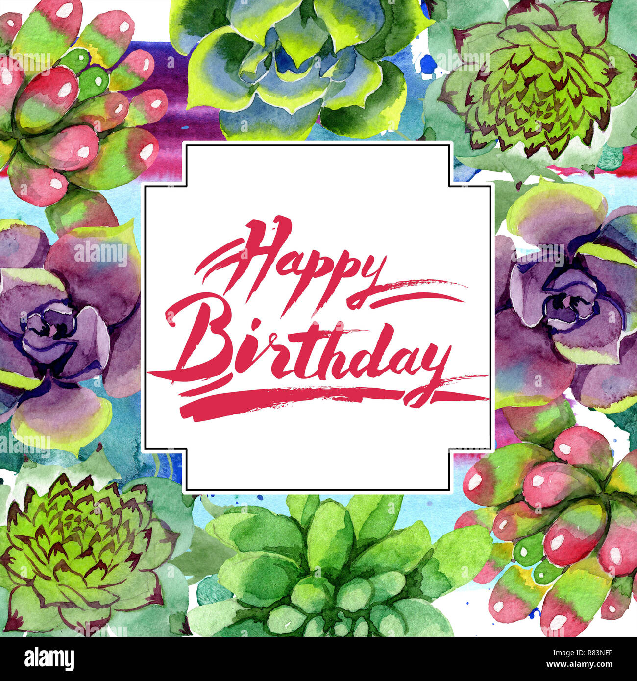 succulents happy birthday