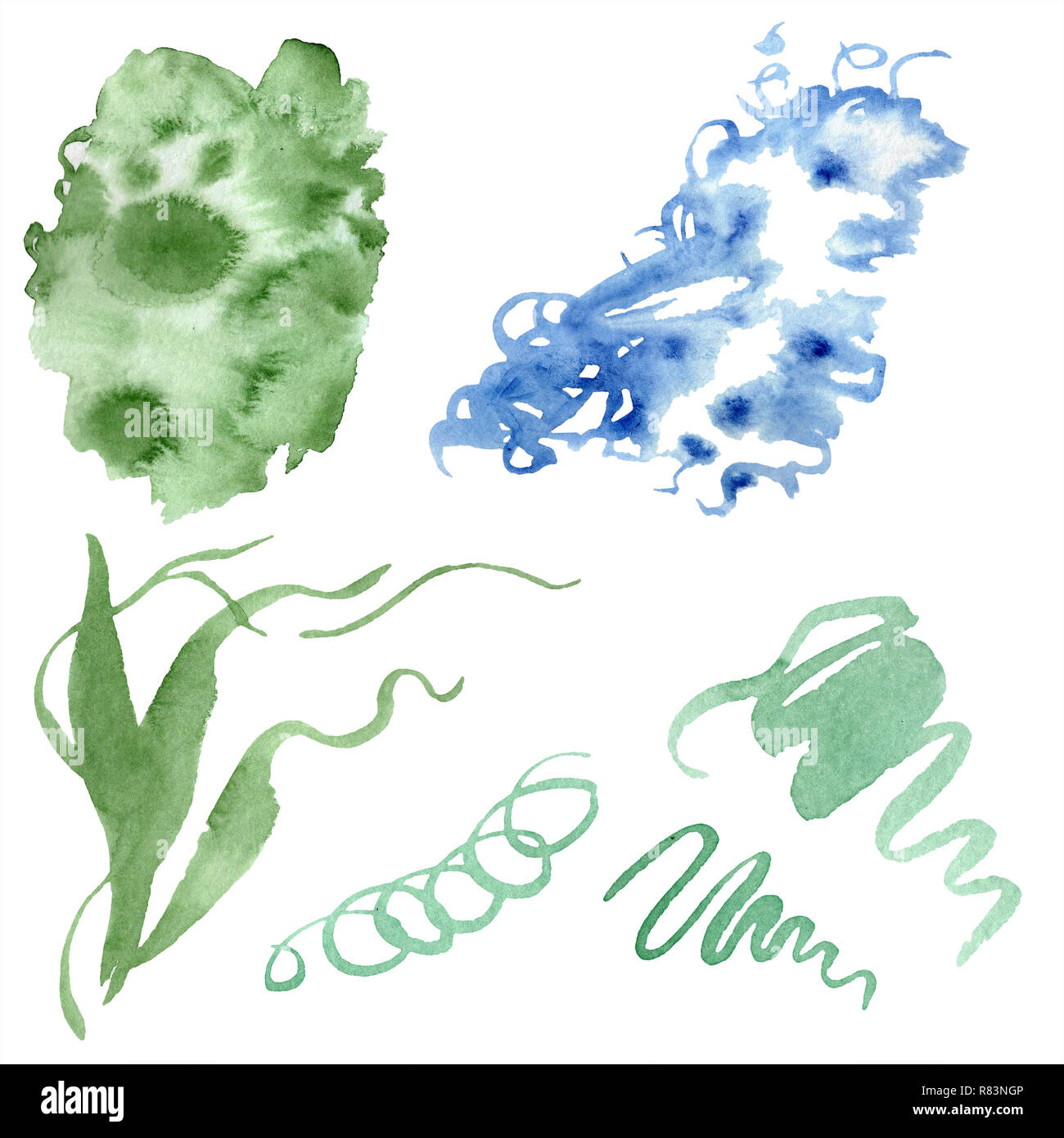 Abstract green and blue aquarelle splash for background, texture ...