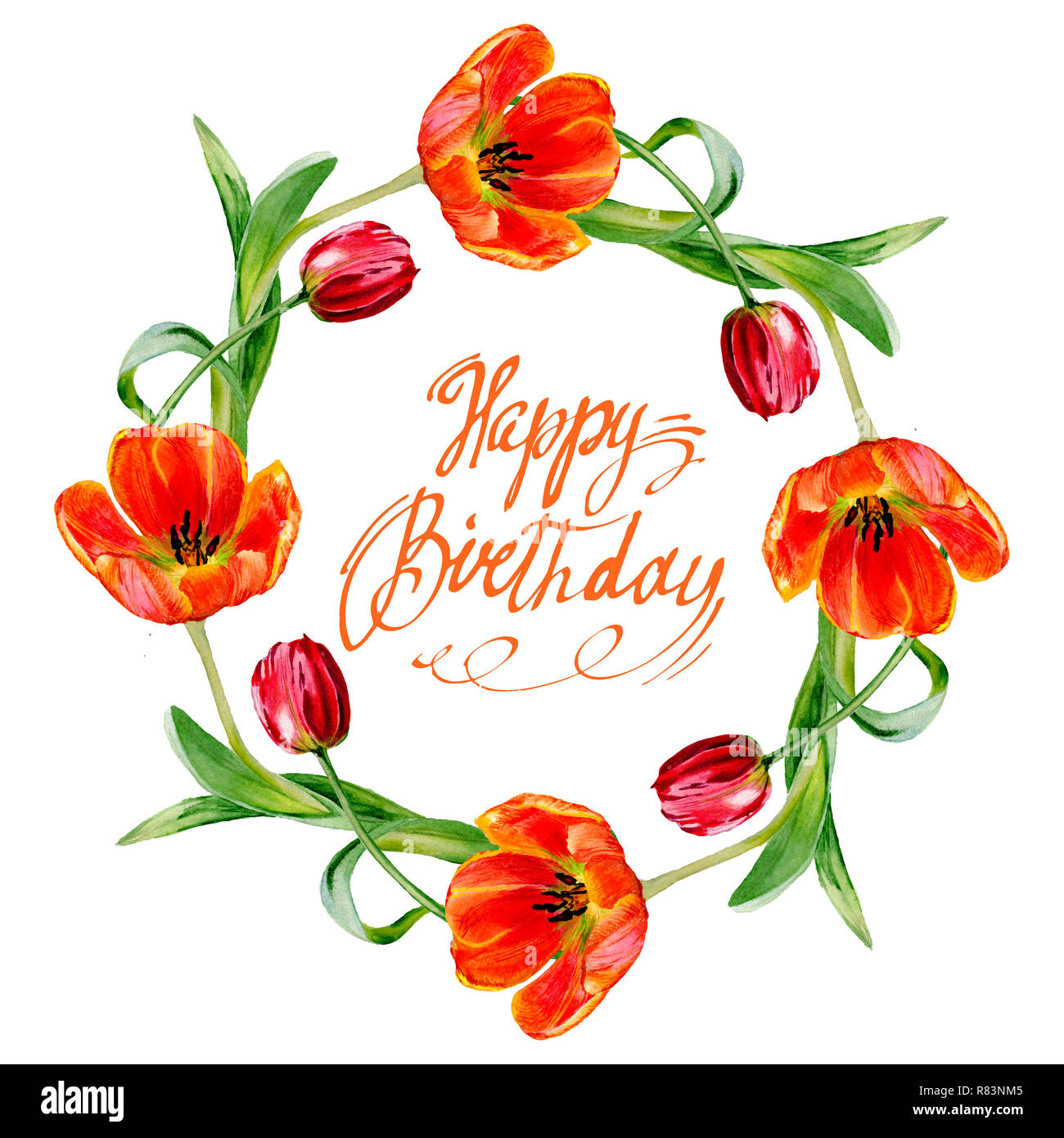 Amazing red tulip flower with green leaf. Happy Birthday handwriting ...