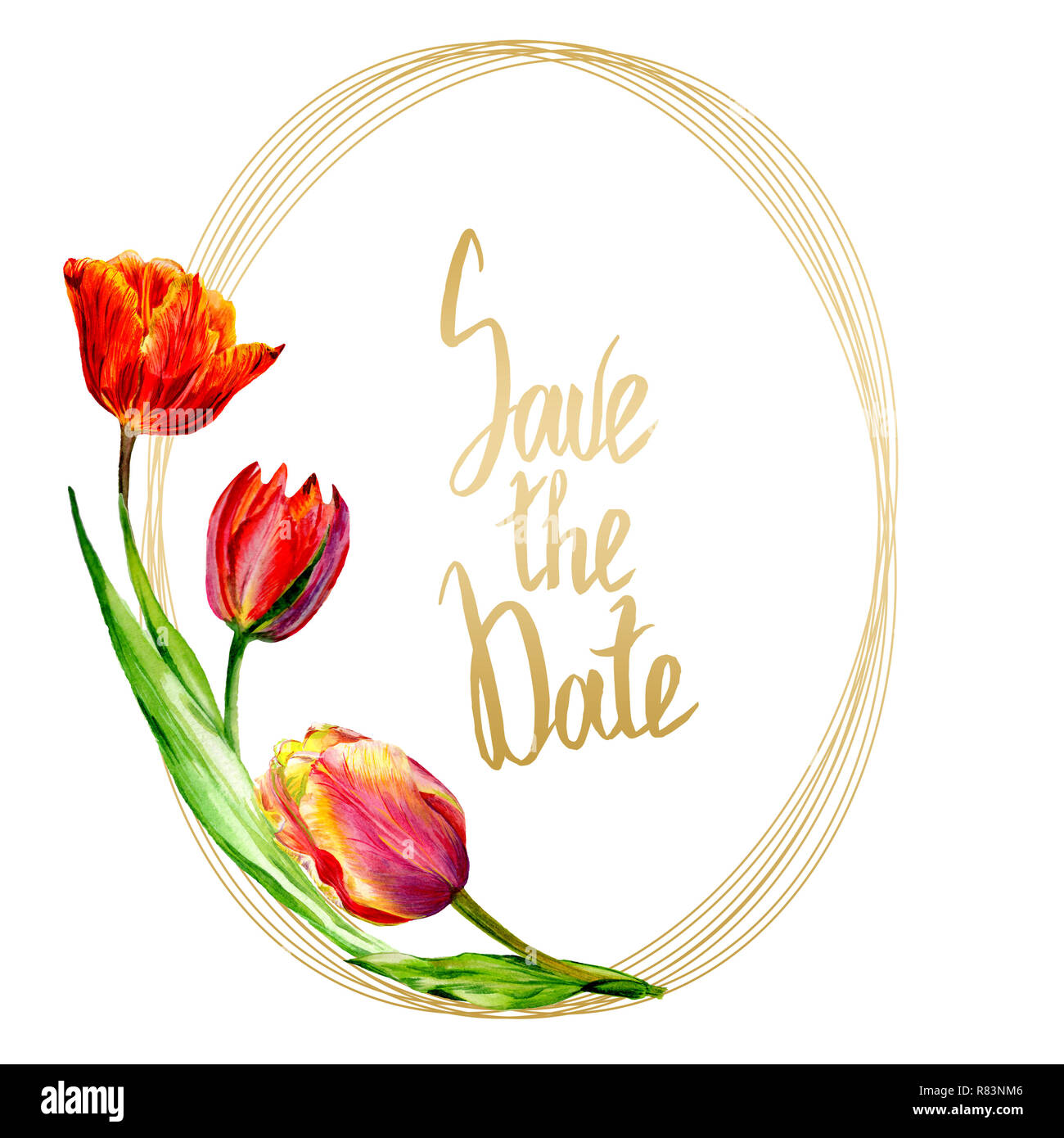 Amazing red tulip flower with green leaf. Save the date handwriting ...