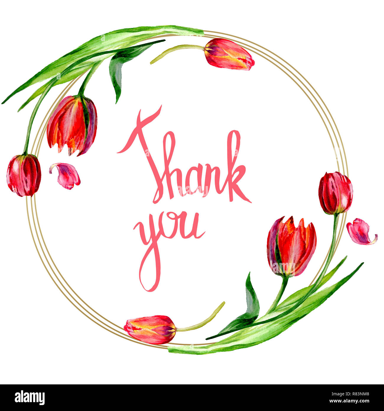 Amazing red tulip flower with green leaf. Thank you handwriting ...