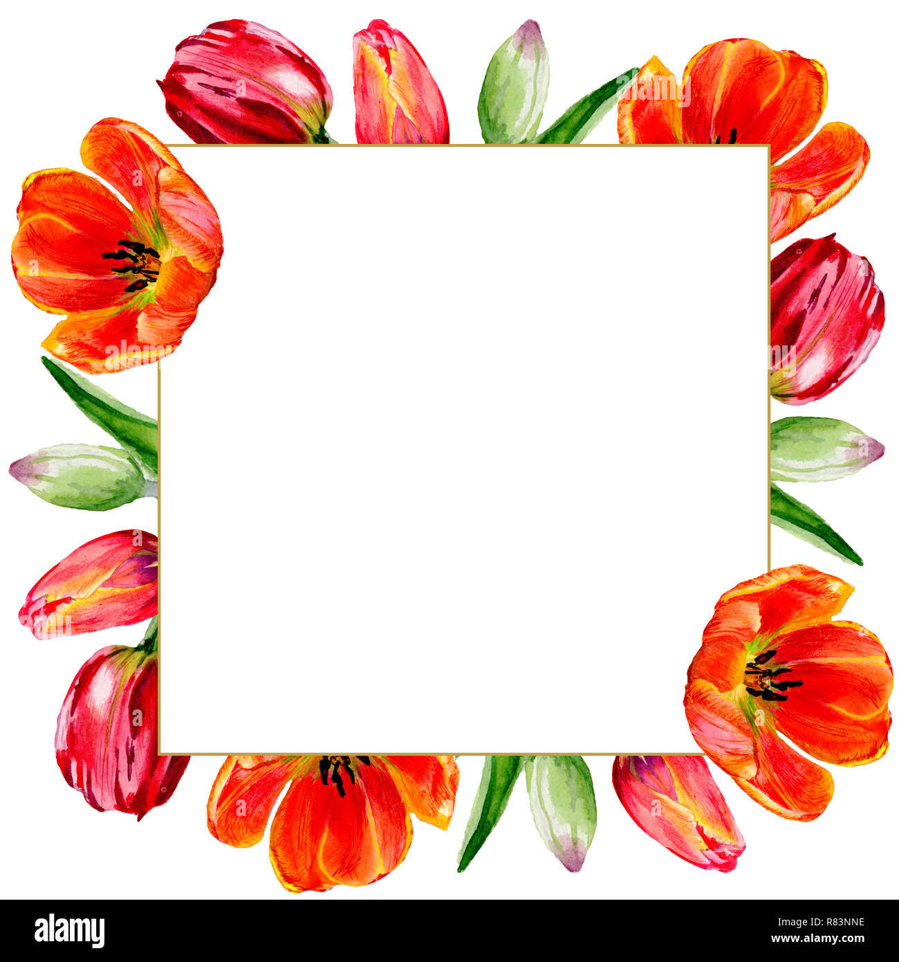 Amazing red tulip flower with green leaf. Hand drawn botanical flower ...