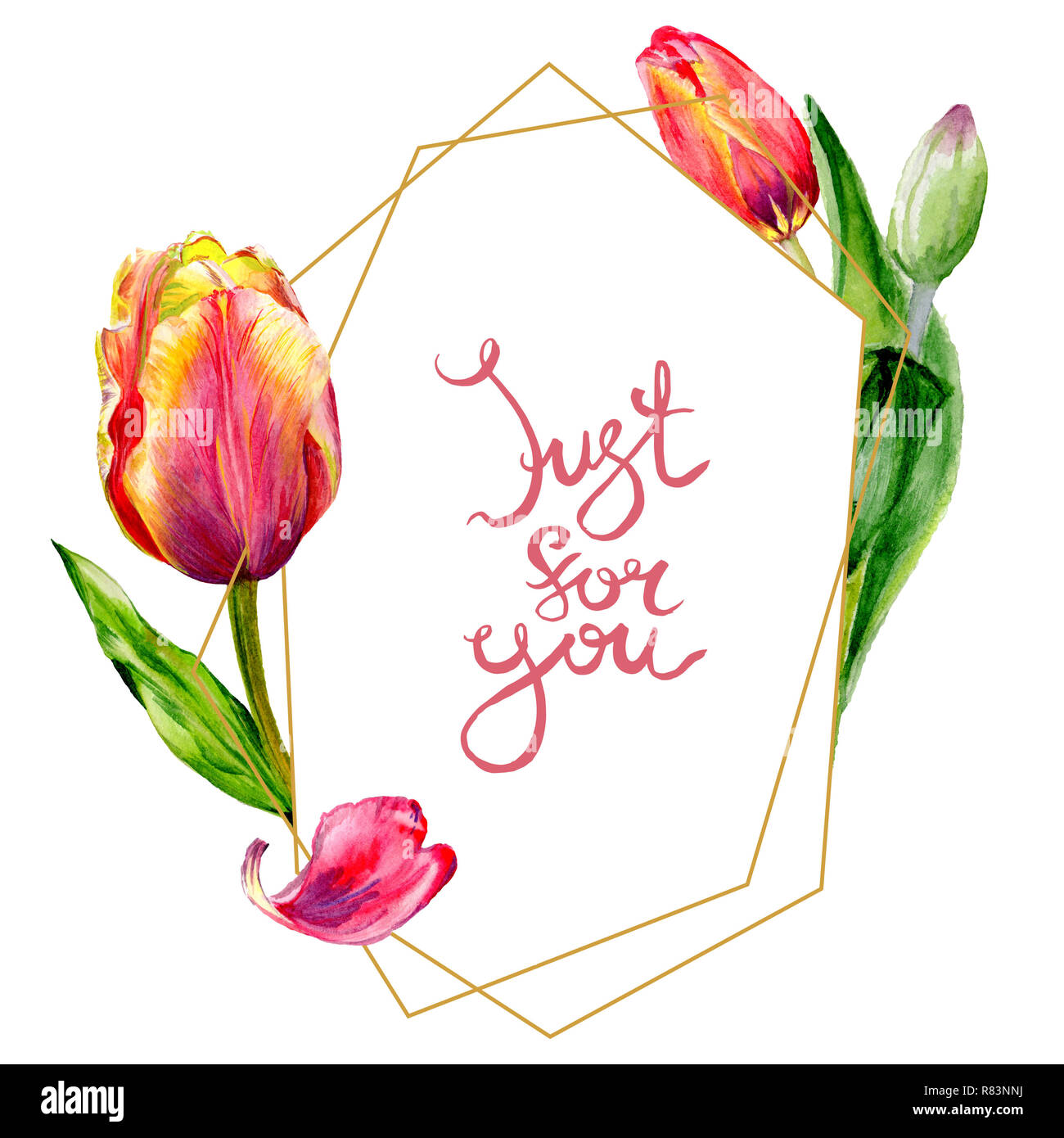 Amazing red tulip flower with green leaf. Just for you handwriting ...