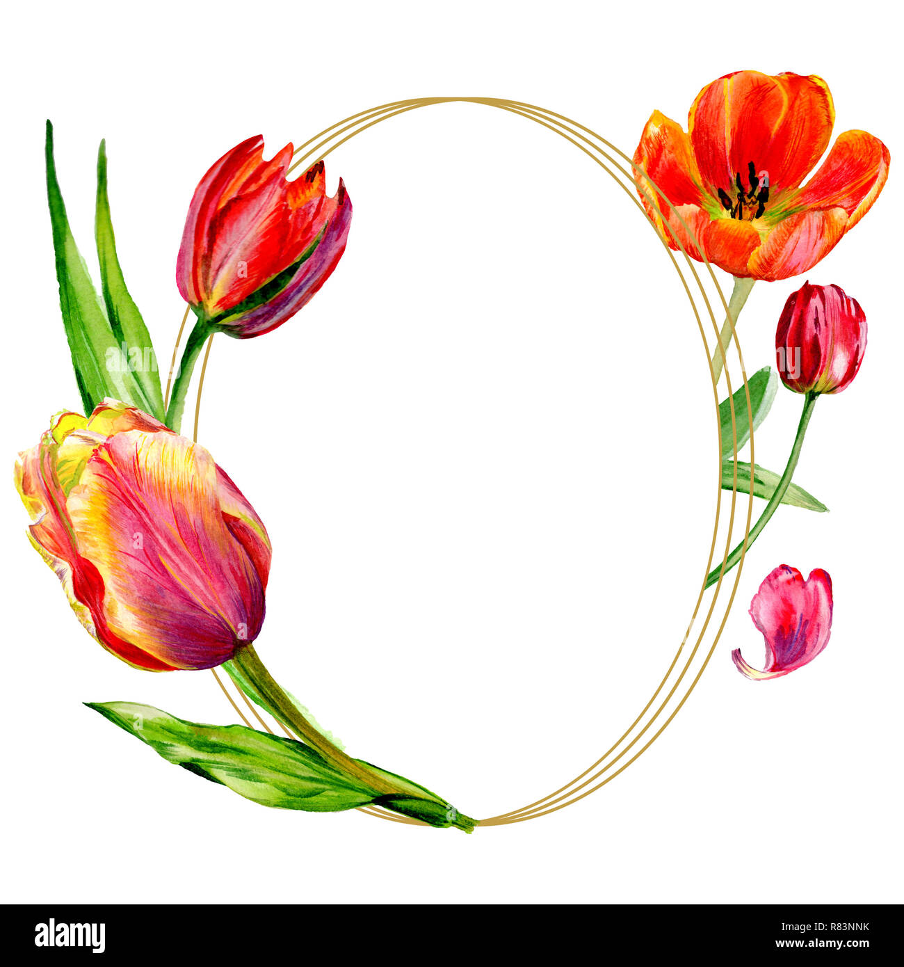 Clip Art Tulip Border