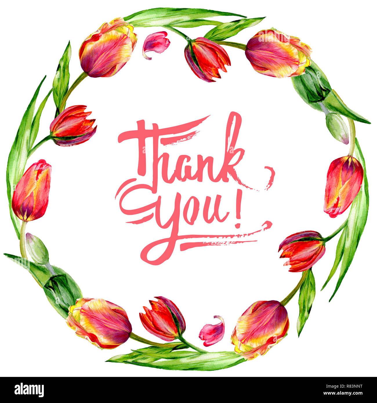 Amazing red tulip flower with green leaf. Thank you handwriting ...