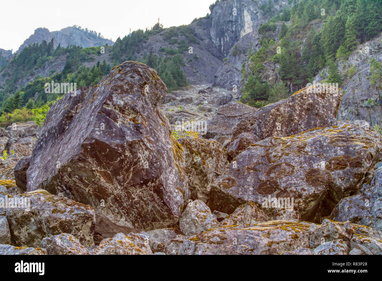 Huge fallen boulders line the road in a rock fall zone in Mt. Rainier ...