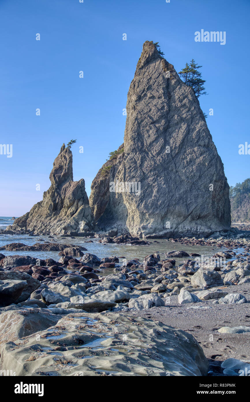 Sea stacks at Rialto Beach, on Washington's Pacific coast Stock Photo ...