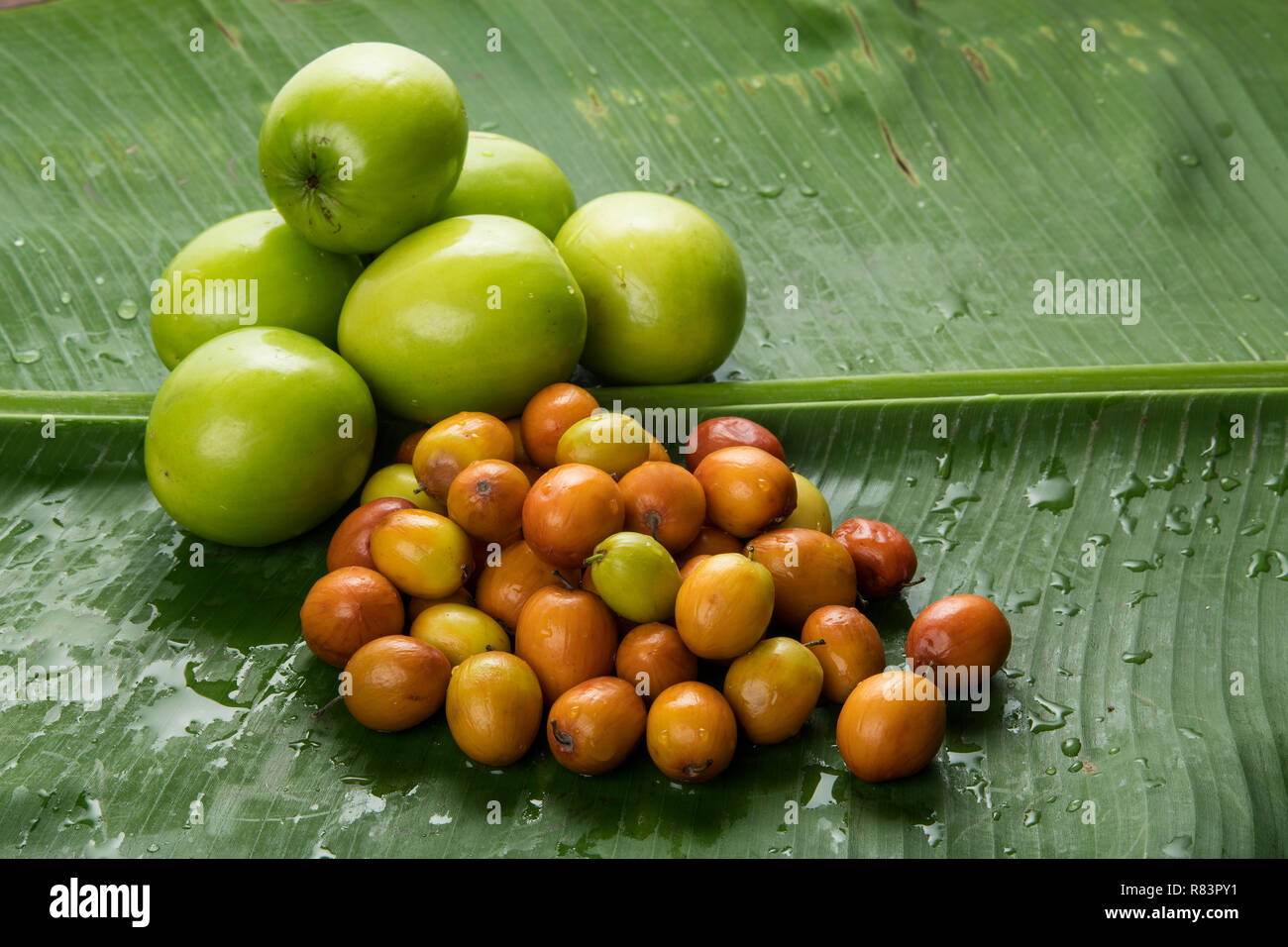 Ber fruit hi-res stock photography and images - Alamy