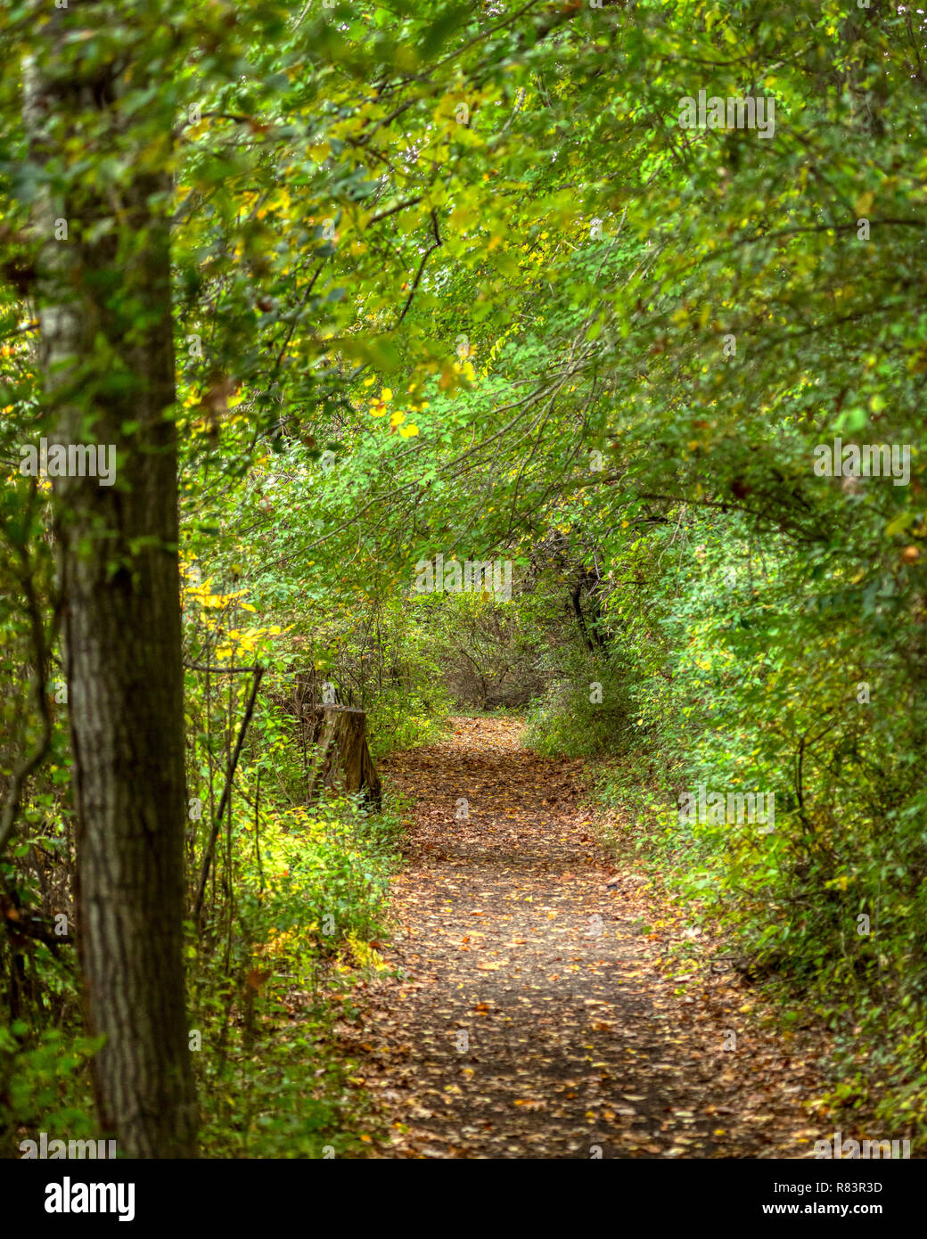 Greets green park hi-res stock photography and images - Alamy