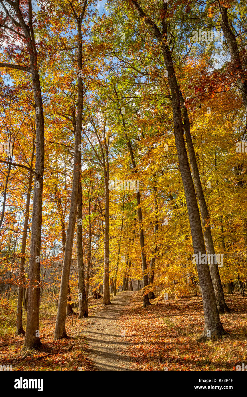 Fall foliage hiking hi-res stock photography and images - Alamy