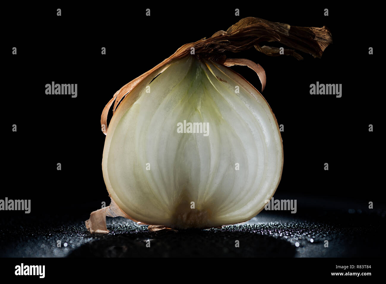 Slice of wet onion hi-res stock photography and images - Alamy
