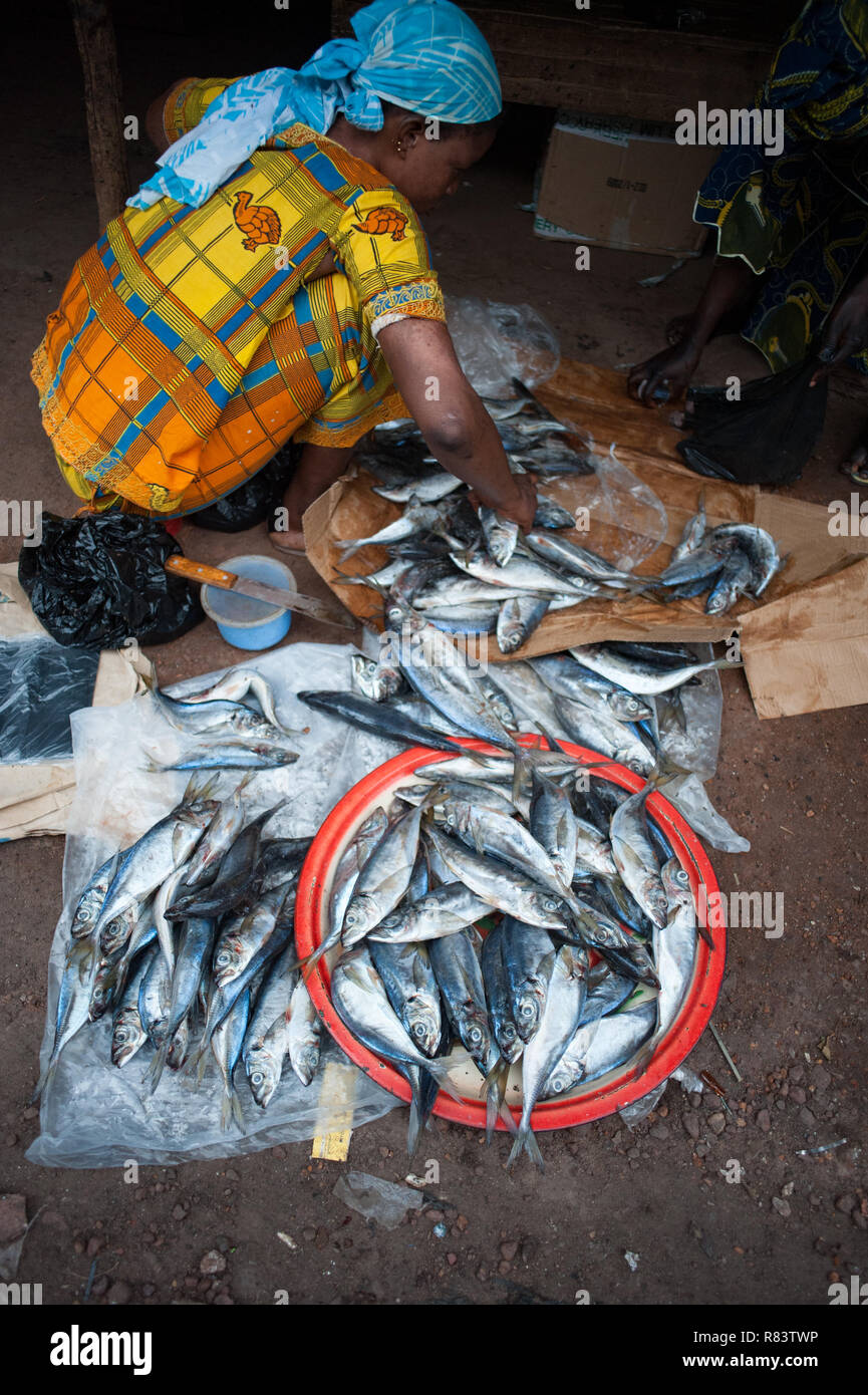 Mali,Africa - Black african woman gathering and preparing fish in the ...