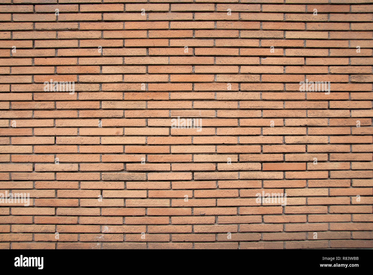 Perfect brick wall texture. Lights and shadows very equlibrate. A brick ...