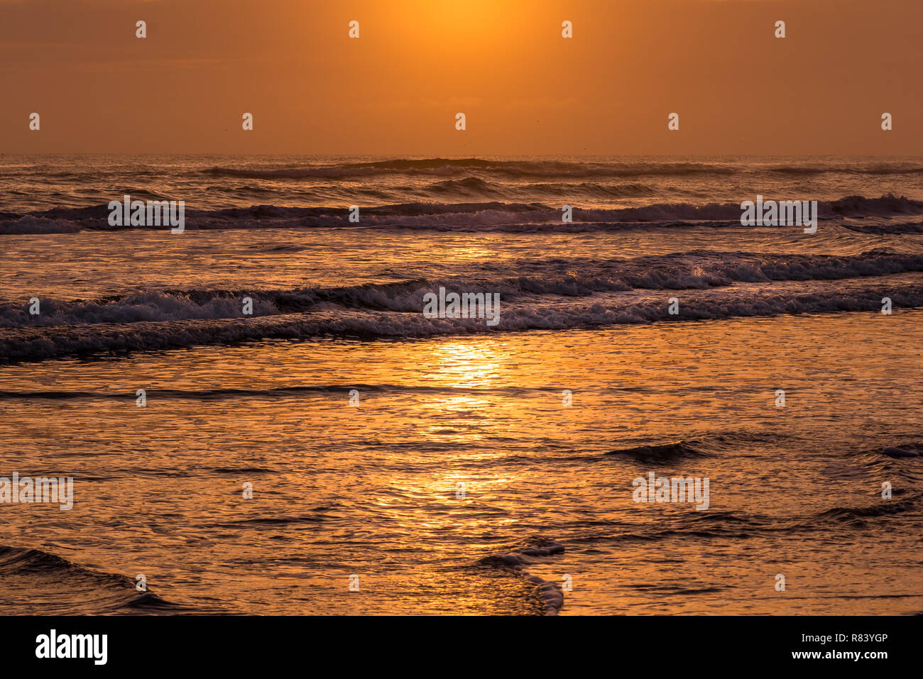 Miami wave hi-res stock photography and images - Alamy
