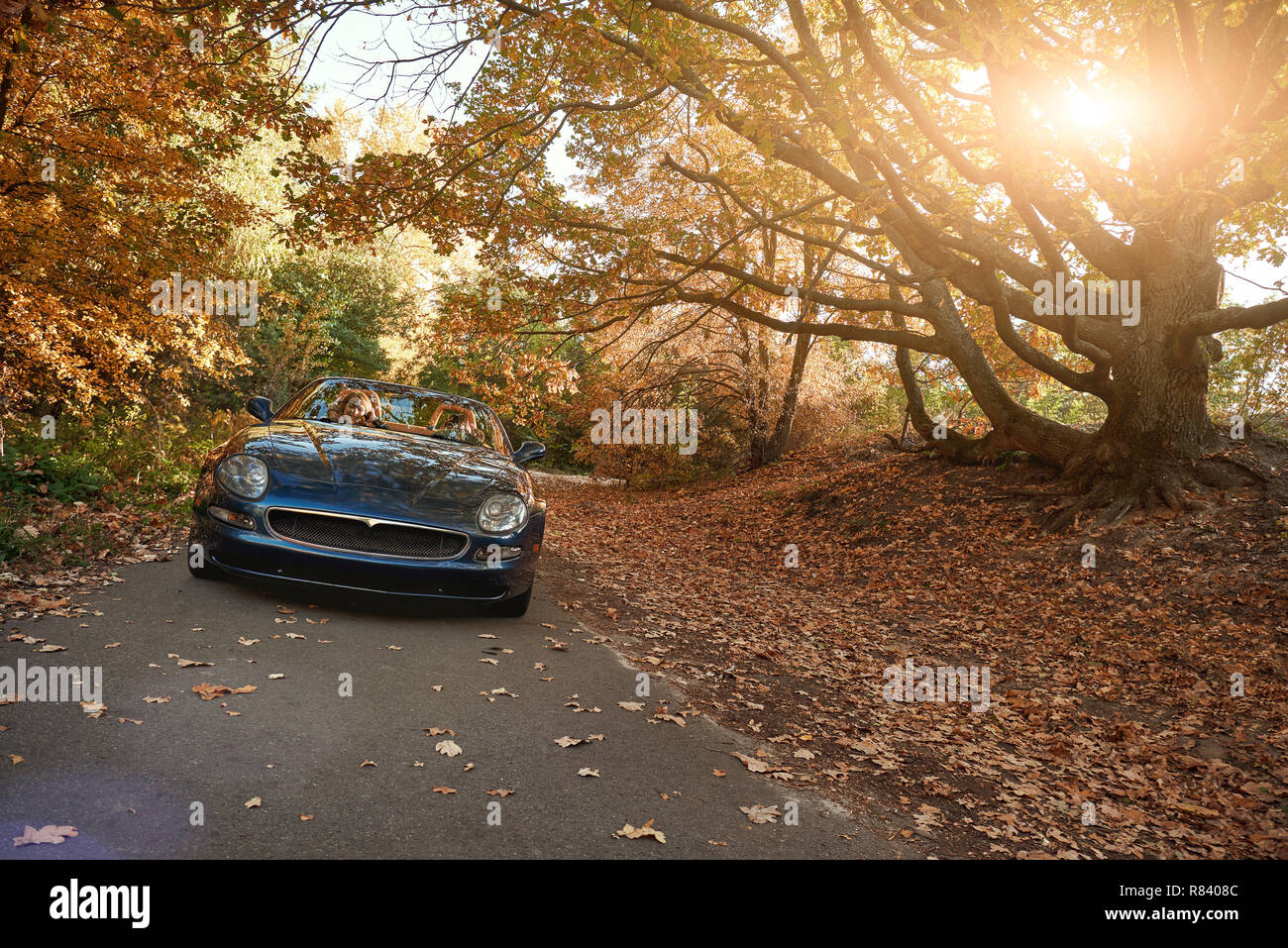 A black roofless car driving fast on the asphalt with a beautiful ...
