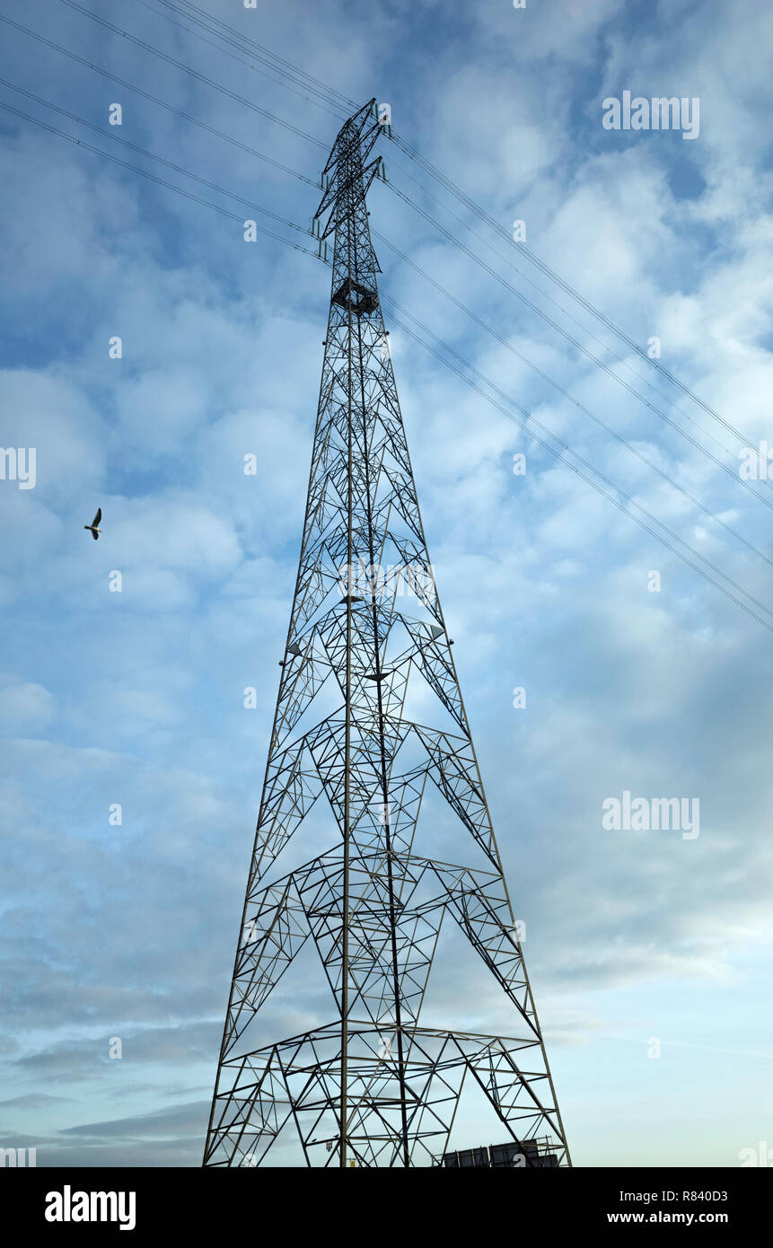 Tall transmission tower pylon carrying hi-res stock photography and ...