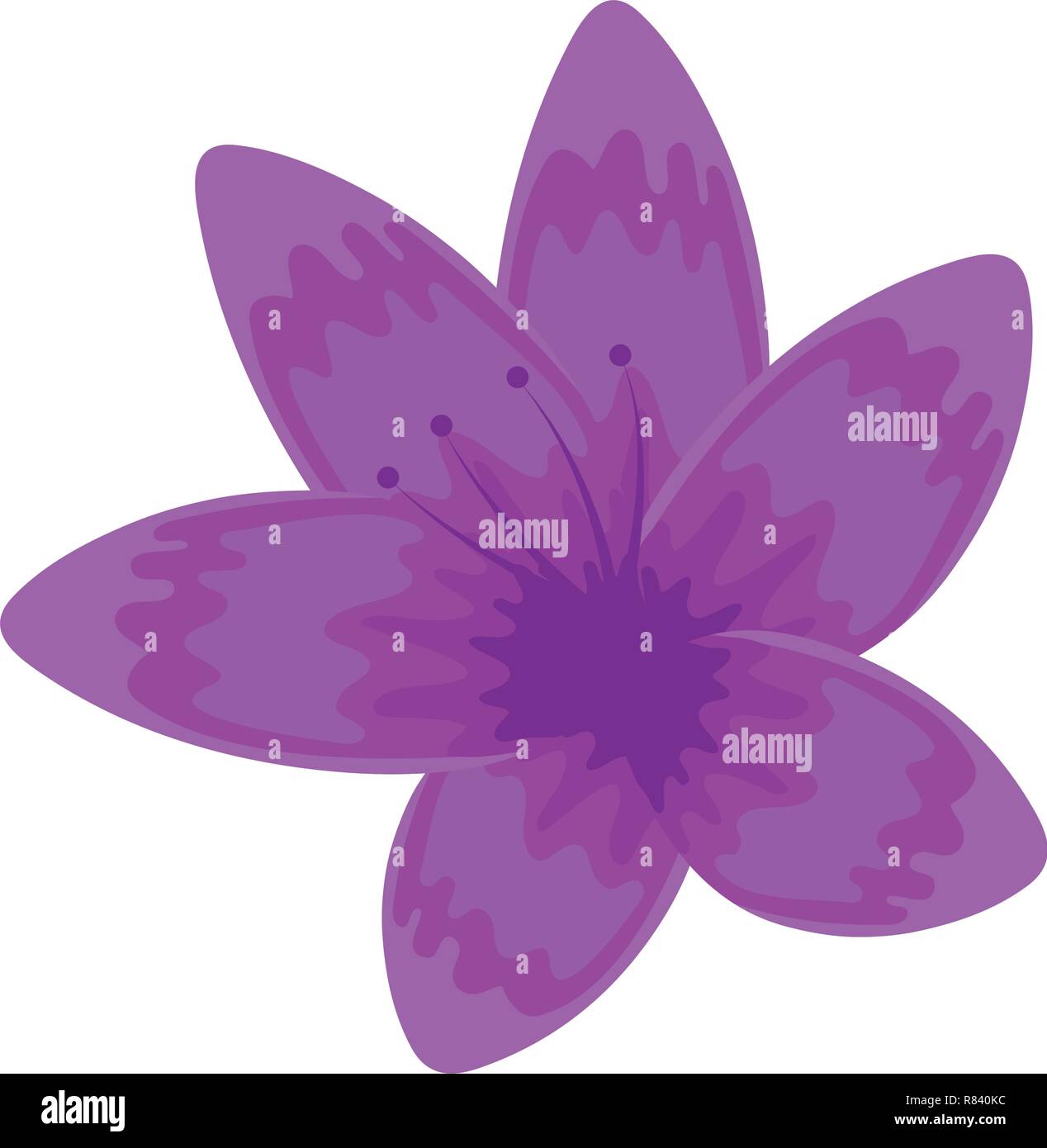 tropical flower icon over white background, colorful design, vector ...