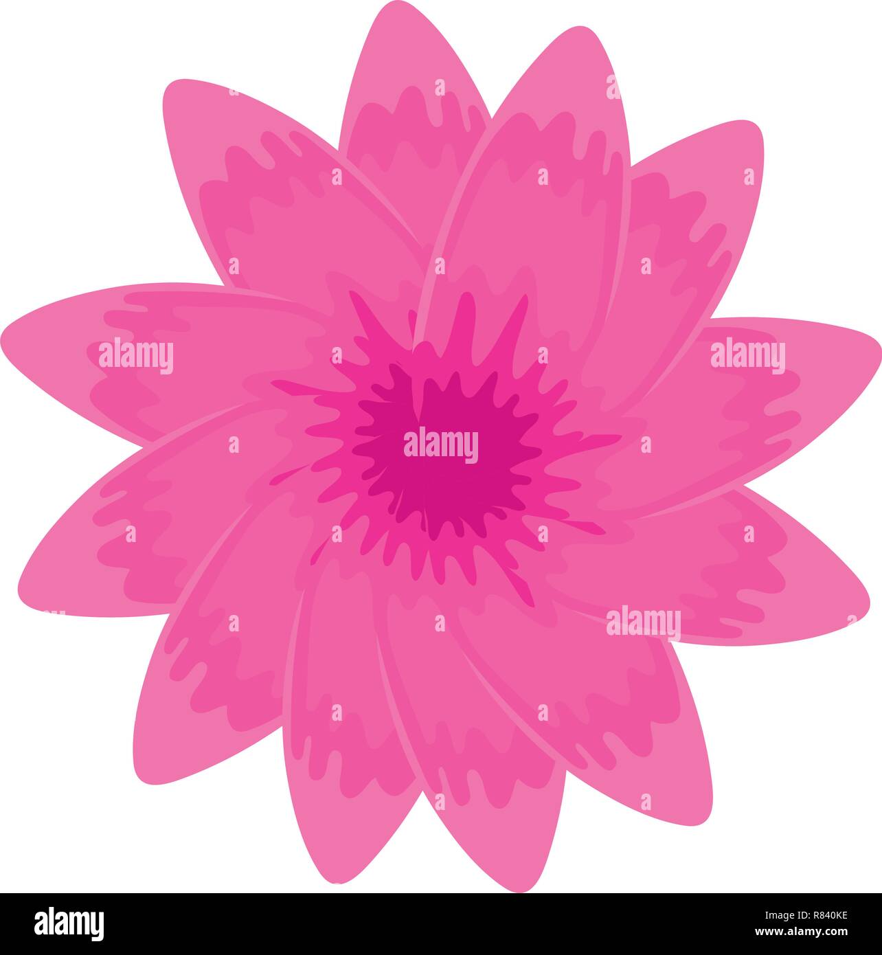 tropical flower icon over white background, colorful design, vector ...