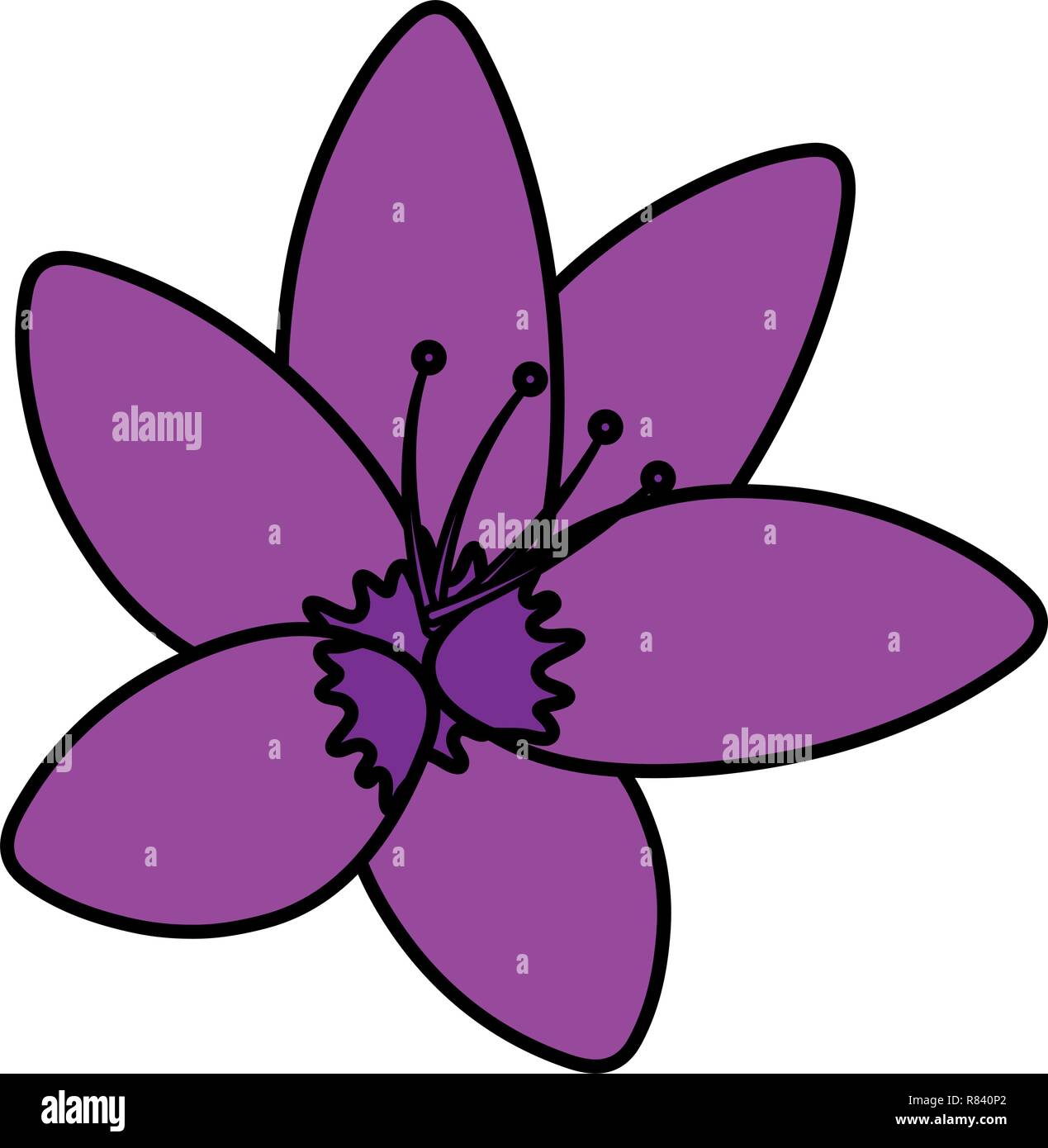 tropical flower icon over white background, vector illustration Stock ...