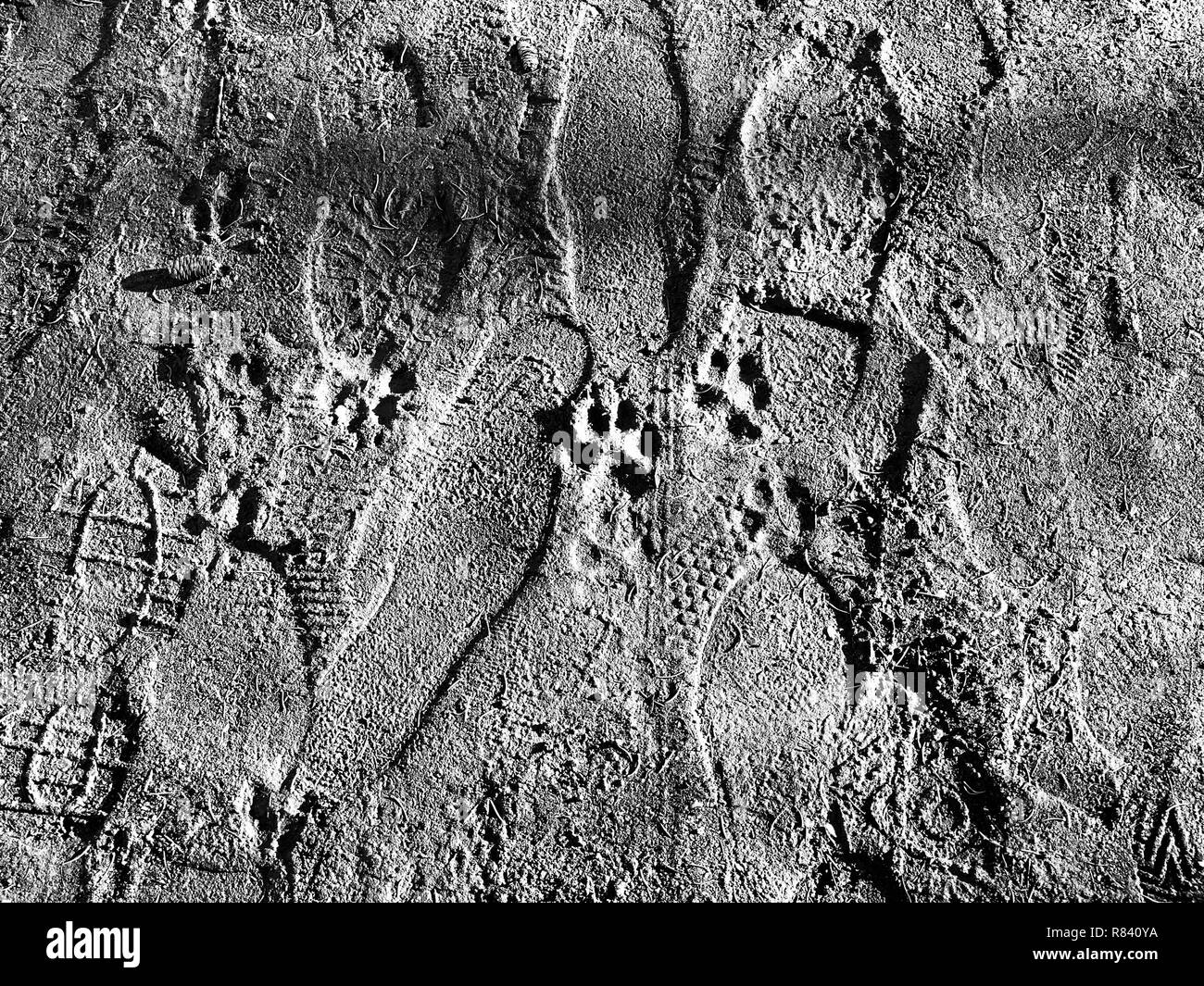 Black footprints hi-res stock photography and images - Alamy