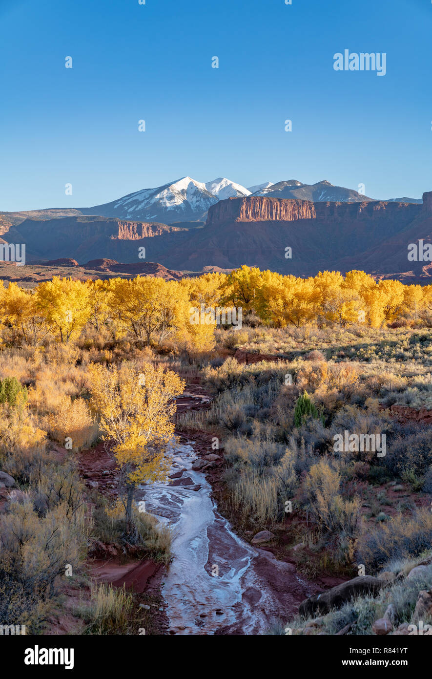 Fall Colors in Castle Valley, UT Stock Photo - Alamy