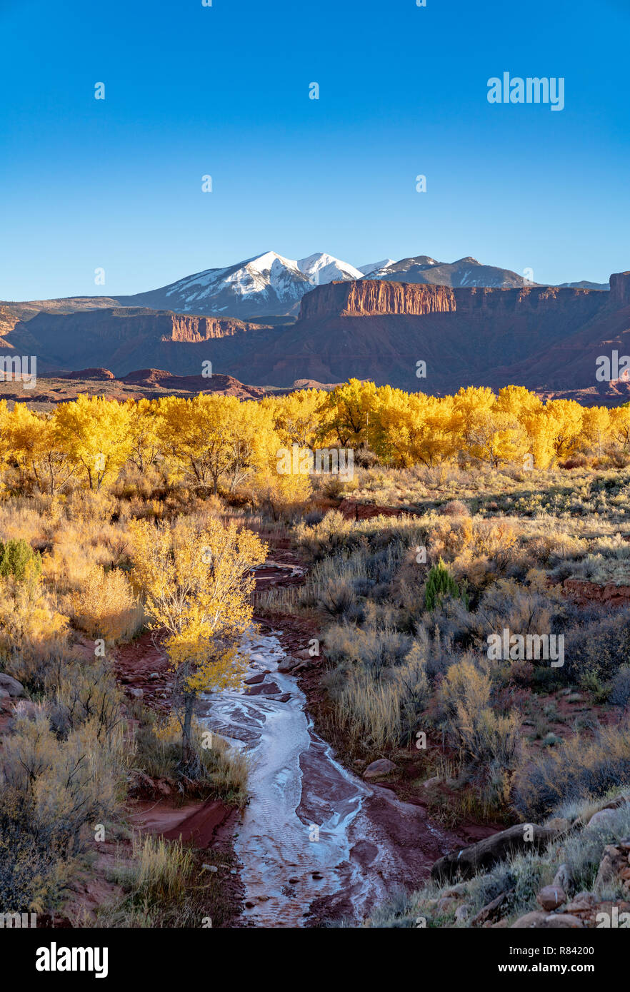 Changing colors hi-res stock photography and images - Alamy