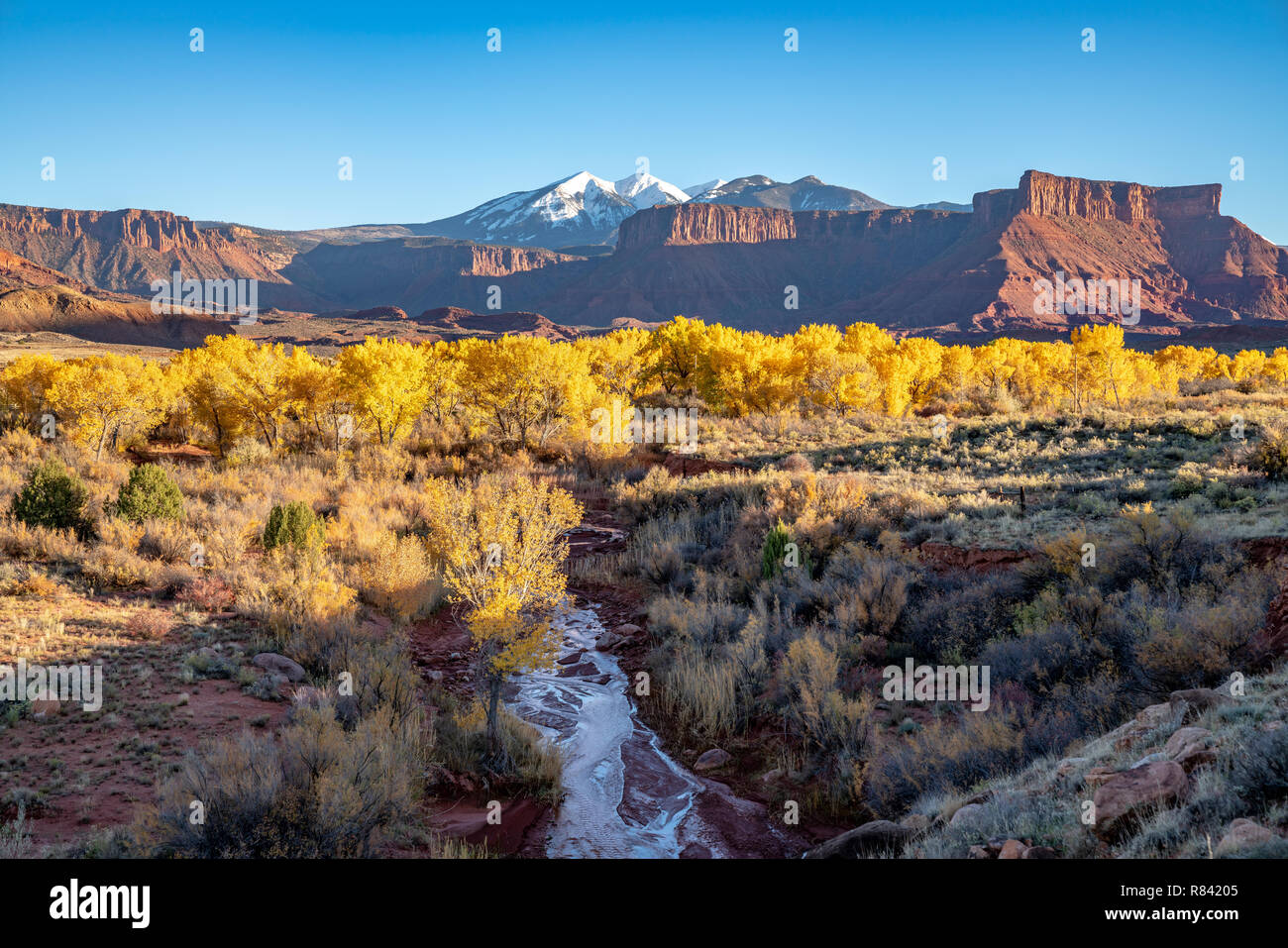 Fall Colors in Castle Valley, UT Stock Photo - Alamy