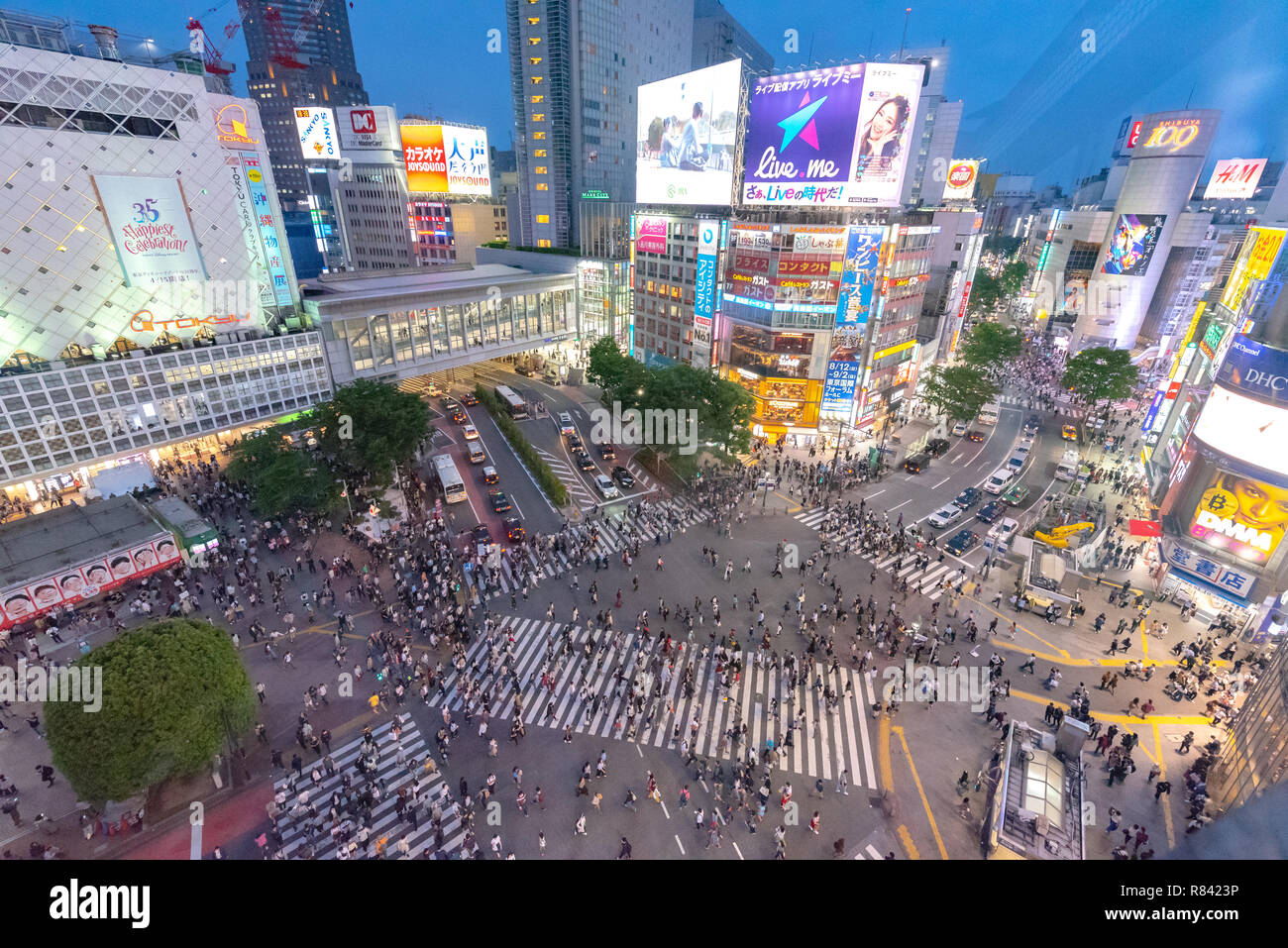 Pedestrians crosswalk at Shibuya district in Tokyo, Japan. Shibuya ...