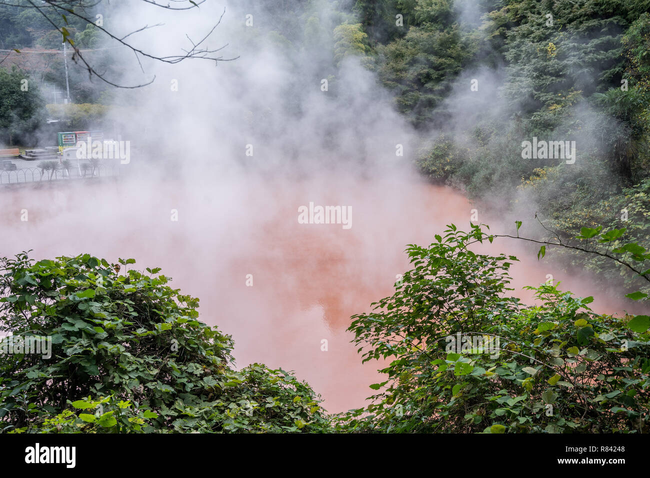 Bloody pond hi-res stock photography and images - Alamy