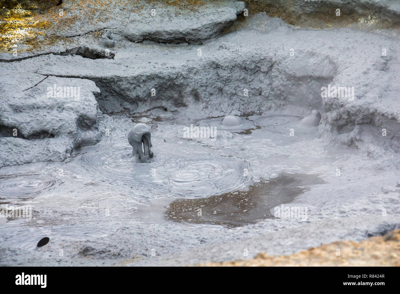 Geothermic activity in mud pools of Hverir in Iceland Stock Photo - Alamy