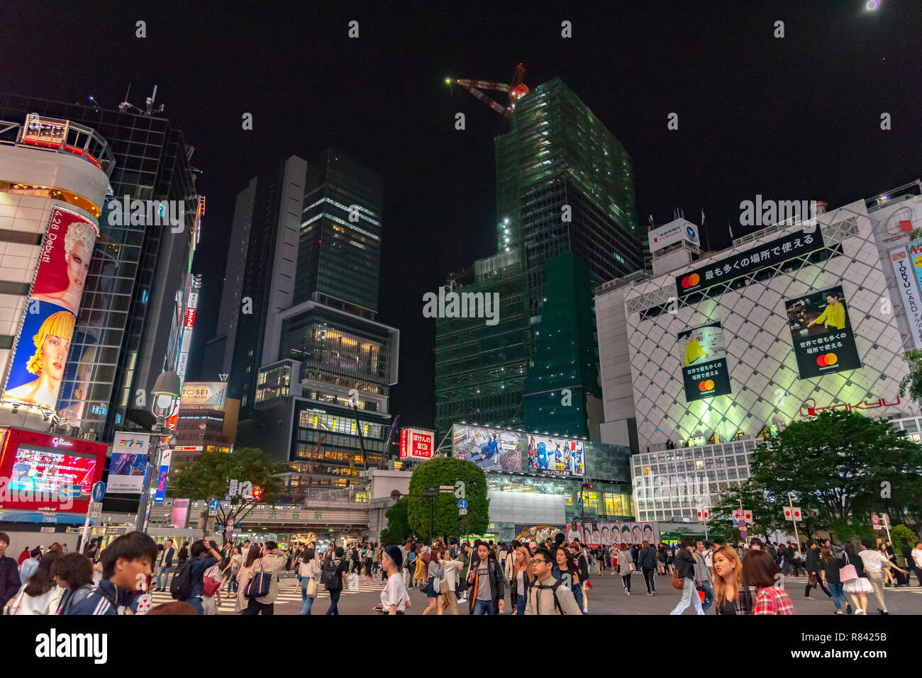 Pedestrians crosswalk at Shibuya district in Tokyo, Japan. Shibuya ...