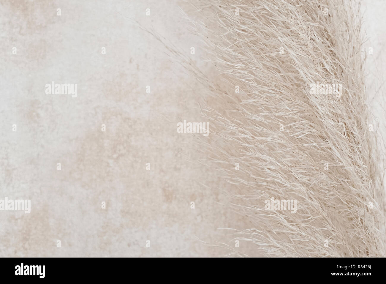 Beige grass hi-res stock photography and images - Alamy