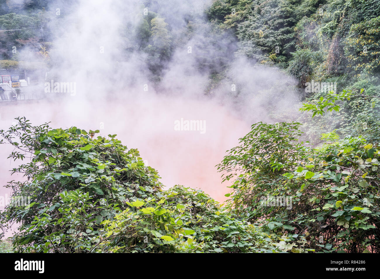Bloody pond hi-res stock photography and images - Alamy