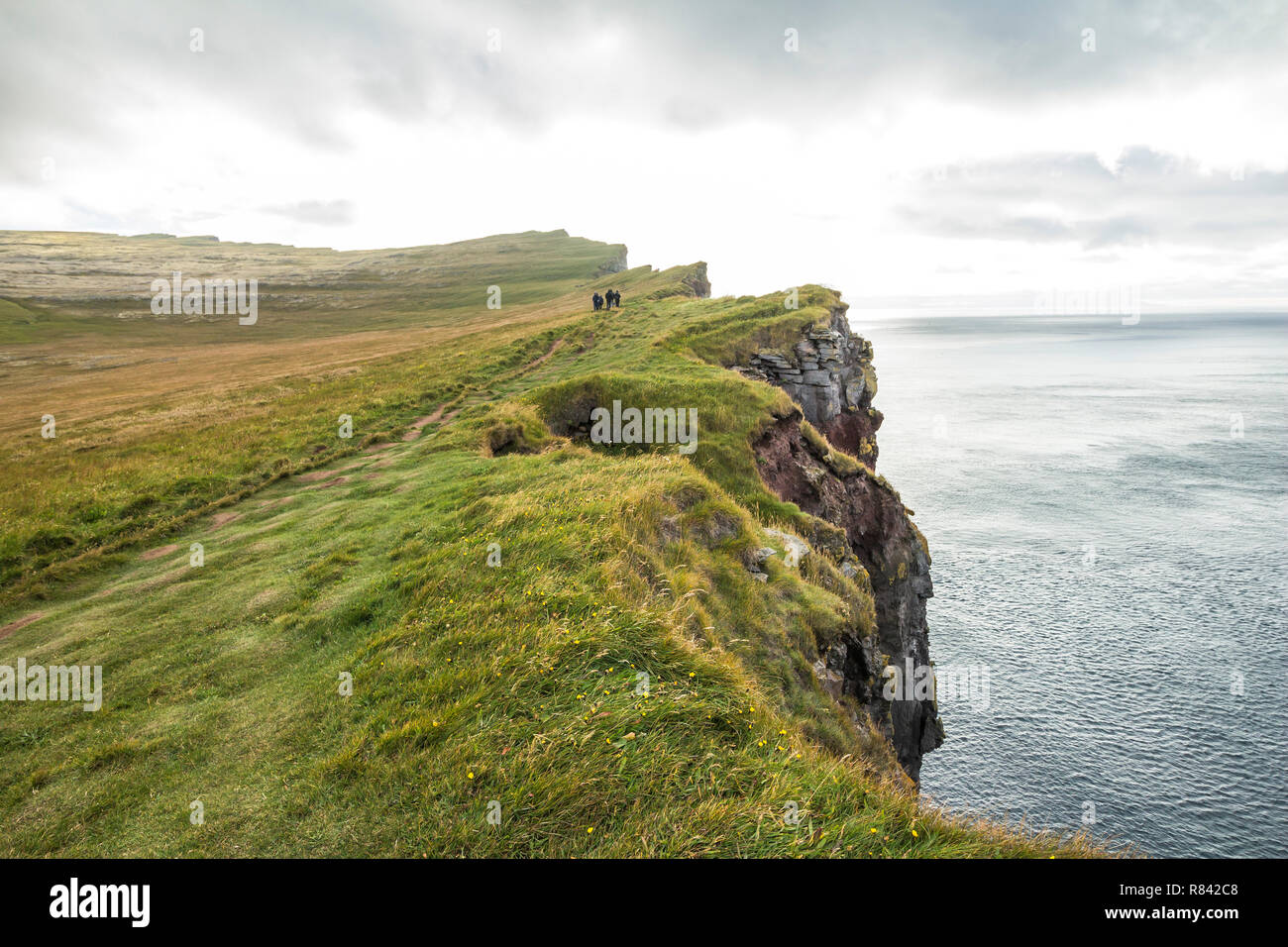 Dramatic and high cliffs of Latrabjarg, west fjords Iceland Stock Photo ...
