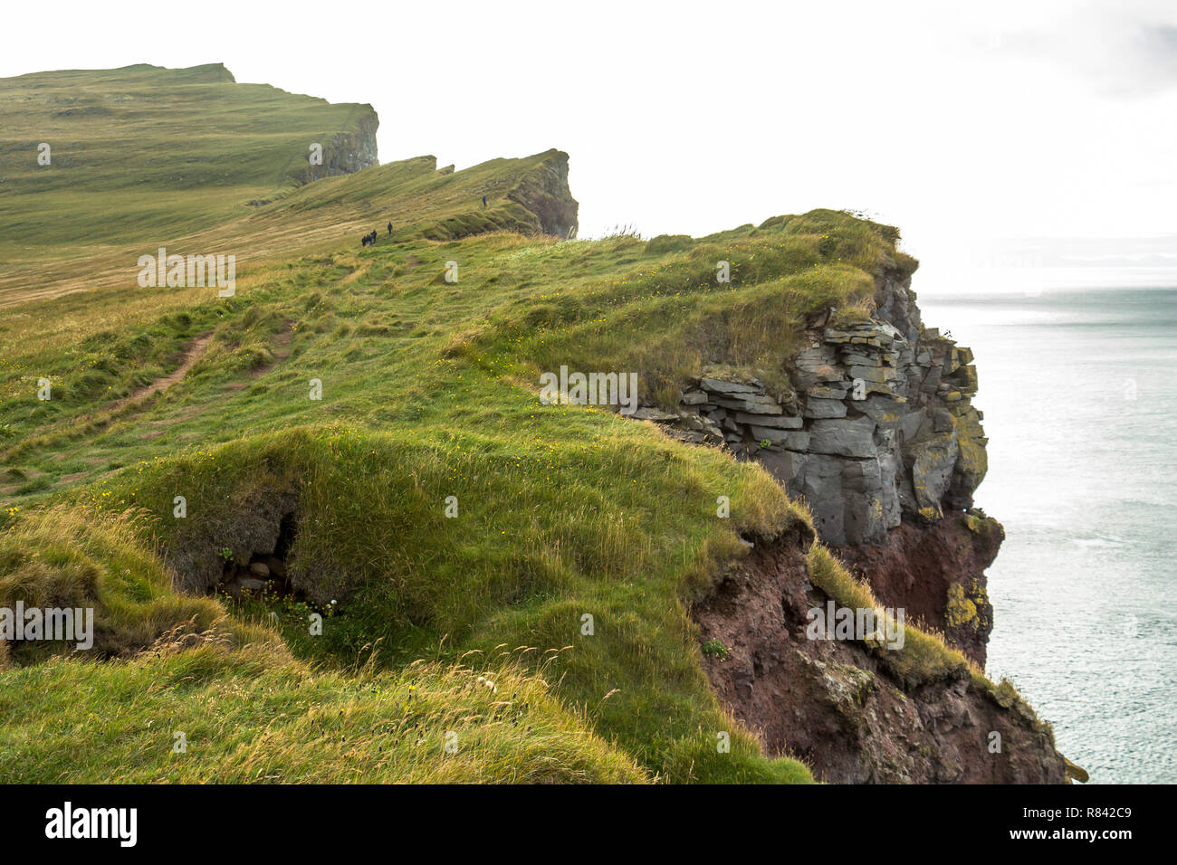 Dramatic and high cliffs of Latrabjarg, west fjords Iceland Stock Photo ...