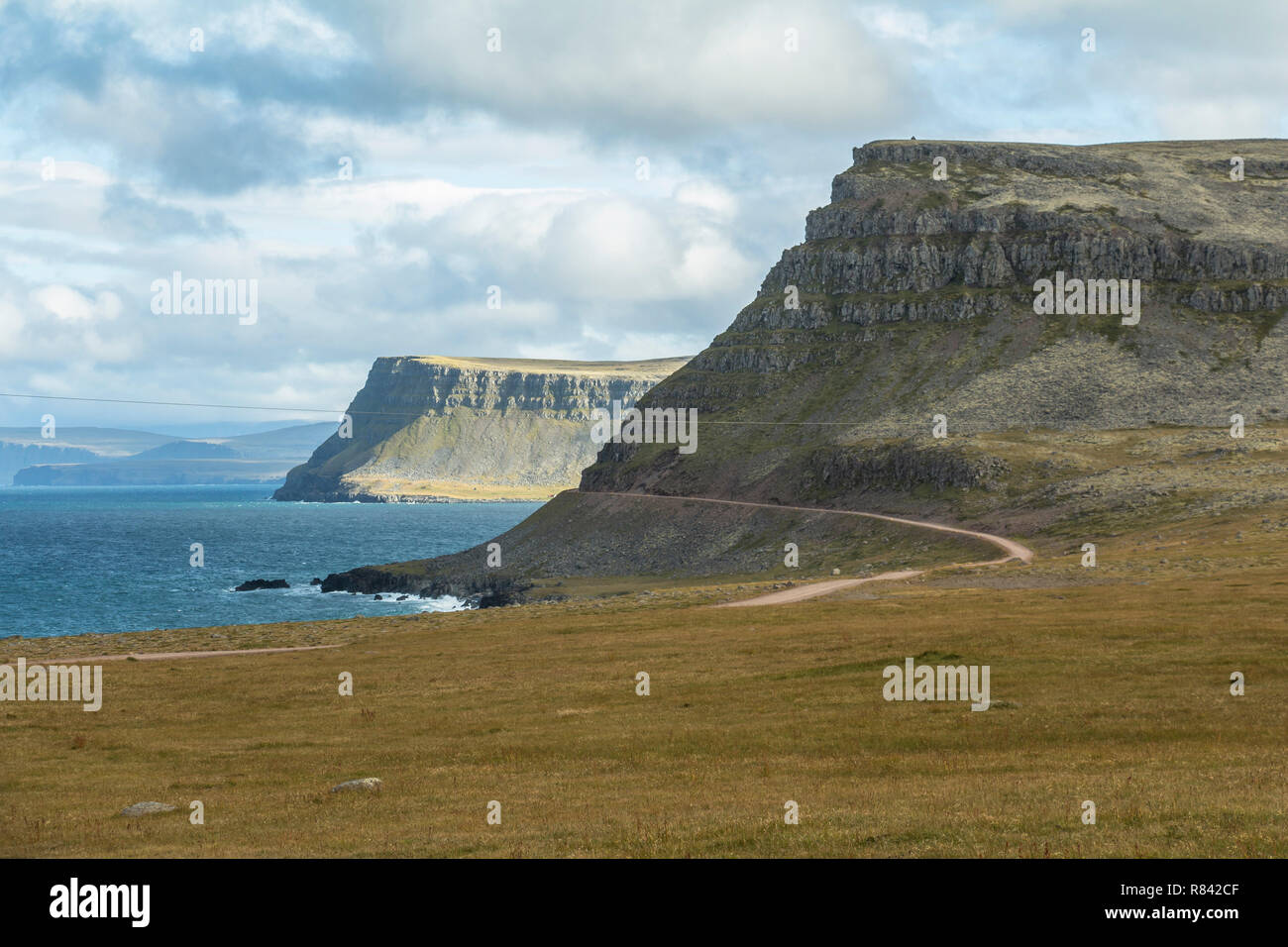 Landscape of dramatic cliffs of Latrabjarg, west fjords Iceland Stock ...
